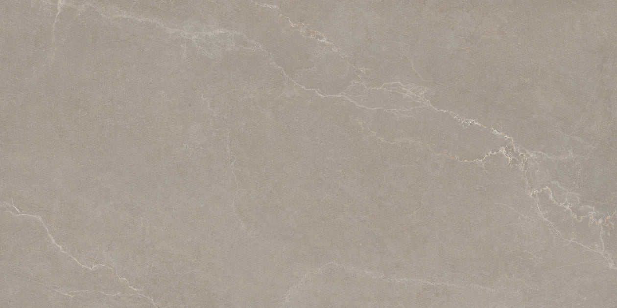 Noble Stone Taupe 600x1200mm Matt Floor/Wall Tile (1.44m2 per box ...
