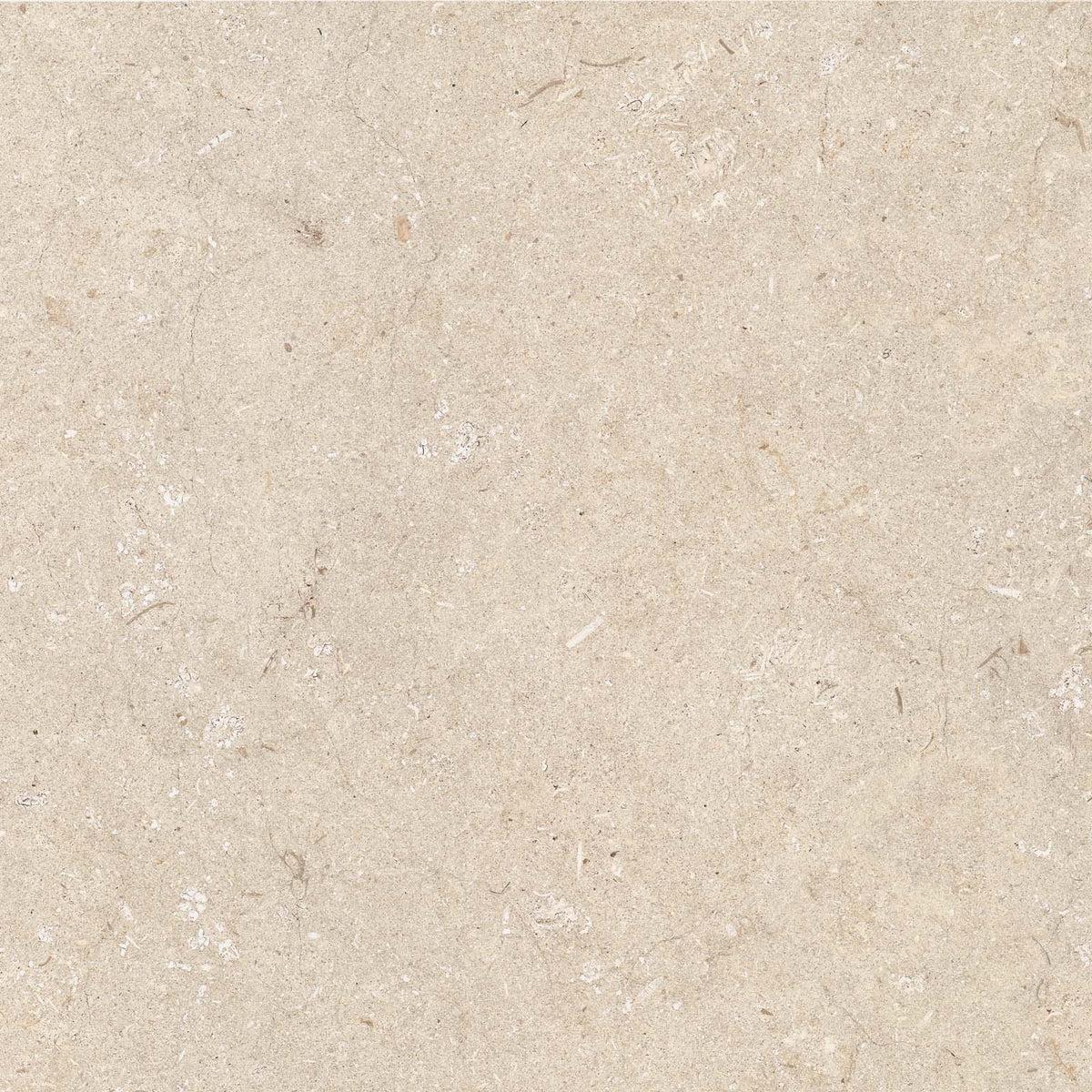 Poetry Stone Trani Beige 600x600mm Matte Floor/Wall Tile (1.08m2 box ...