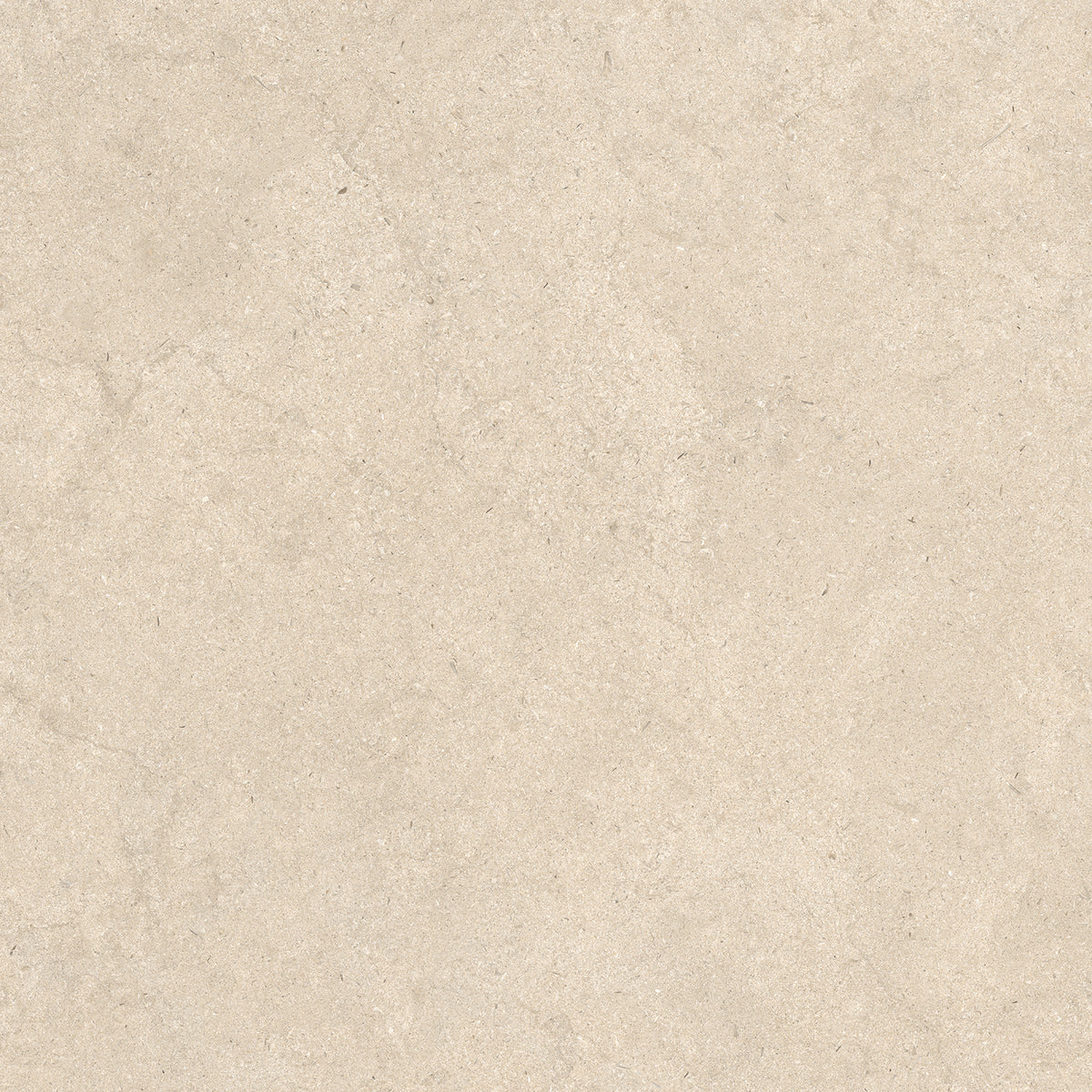 Lutezia Taupe 600x600mm Matt Floor/Wall Tile(1.08m2 box) — Jules Baxter